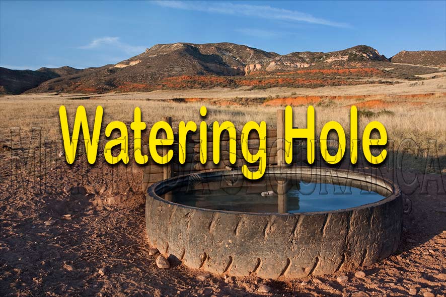 O que é um ataque de watering hole
