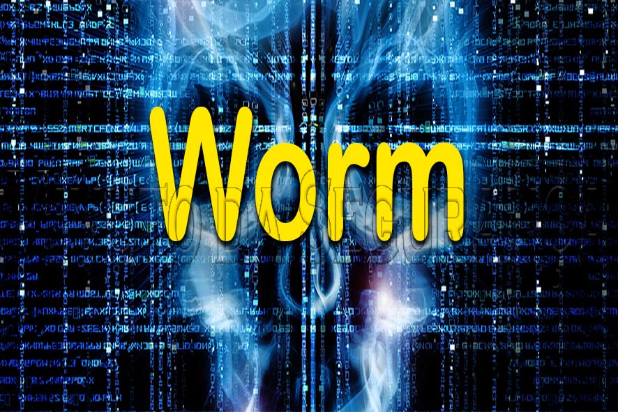 Worm você sabe o que é? worm não é mesmo que WORM.