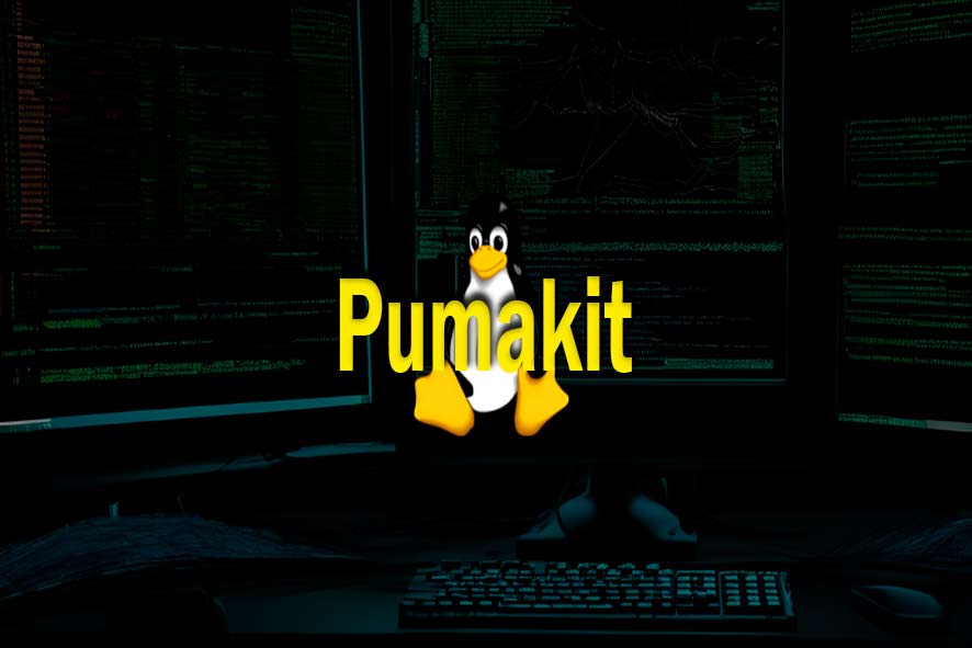 Novo malware rootkit furtivo Pumakit Linux detectado na natureza